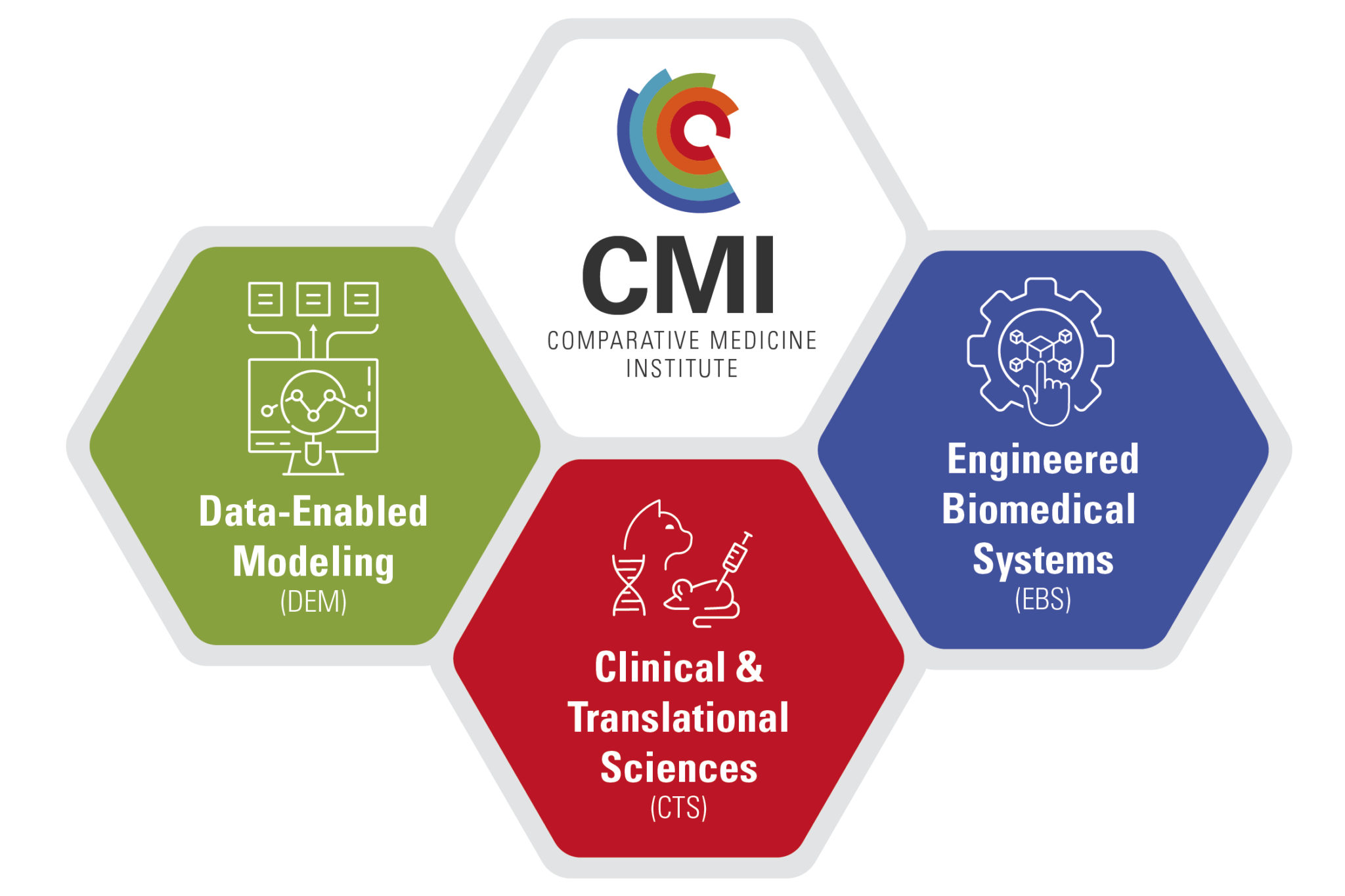 Research Units | Comparative Medicine Institute